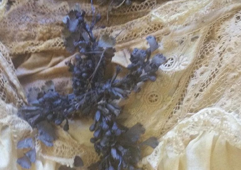 Terrifying Glass Coffin Discovered In Someone's Backyard Reveals San ...