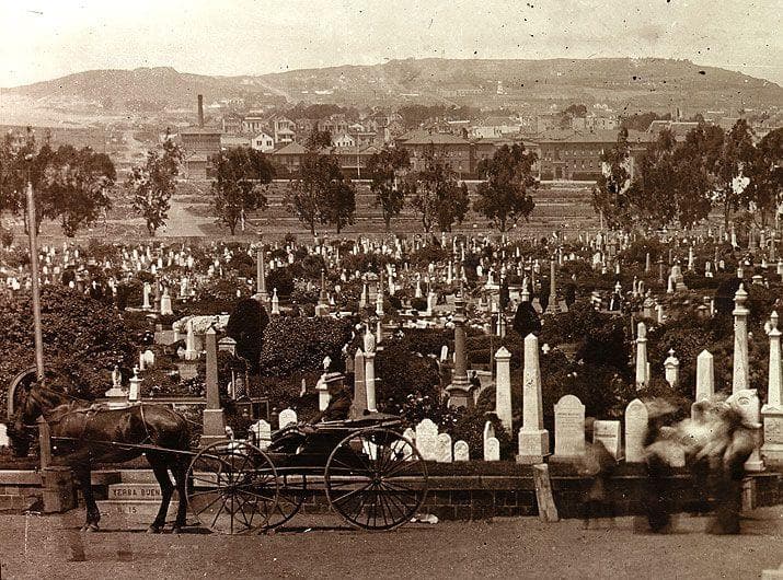 Terrifying Glass Coffin Discovered In Someone's Backyard Reveals San ...