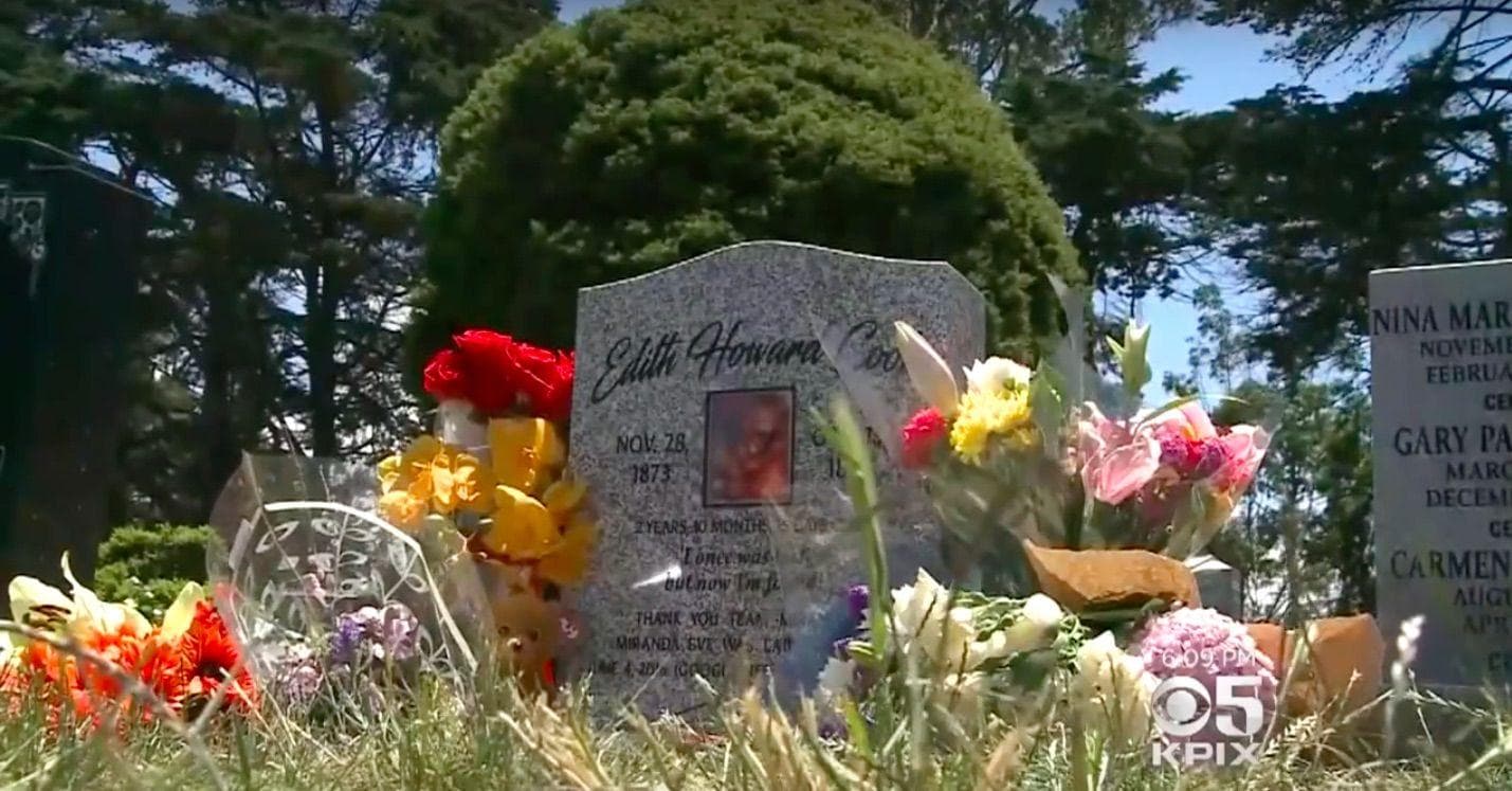 Terrifying Glass Coffin Discovered In Someone's Backyard Reveals San ...