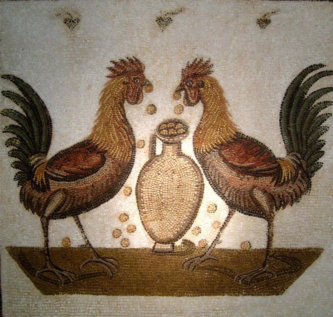 Ever Wonder Why You Break Wishbones For Good Luck? It Started With A ...