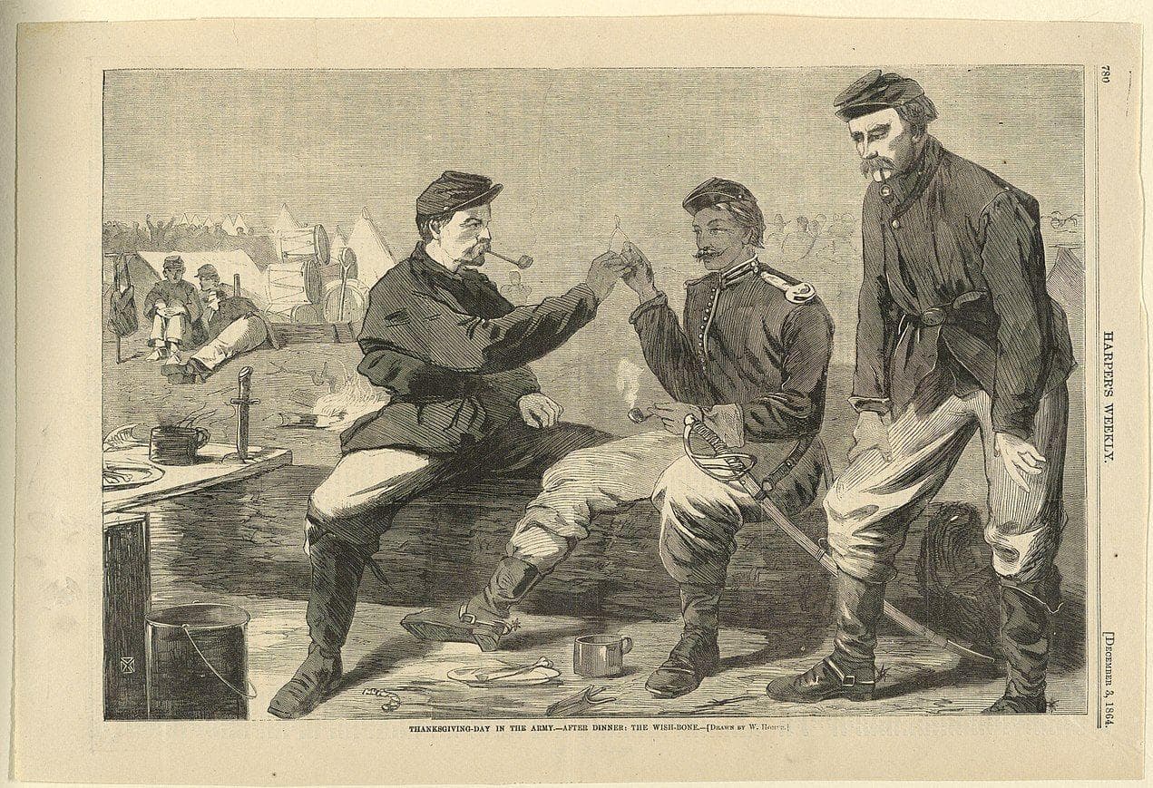 Ever Wonder Why You Break Wishbones For Good Luck? It Started With A ...