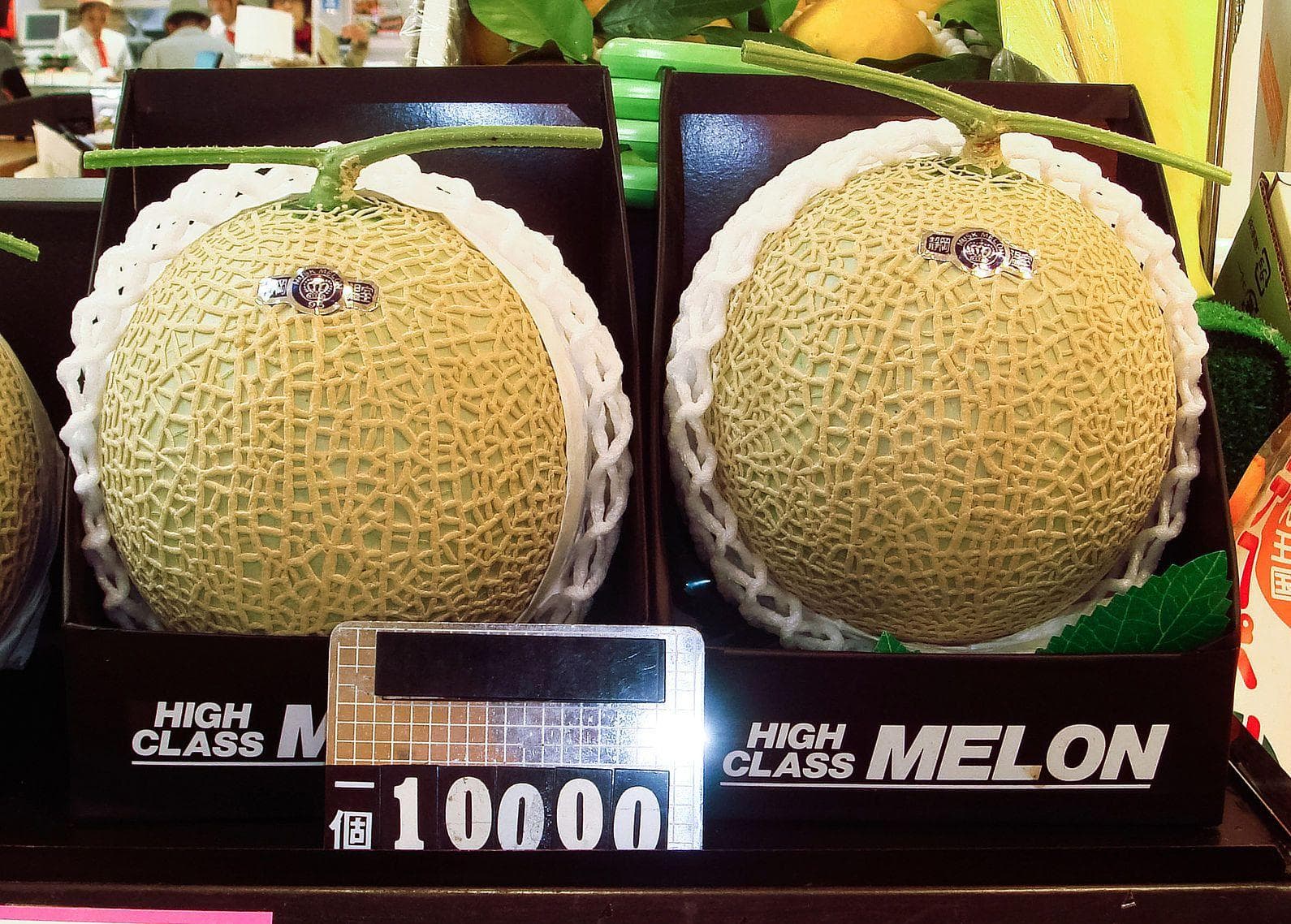 You Too Can Buy A $27,000 Melon - A Look At Japan's Obsession With ...