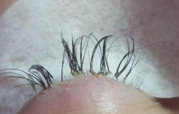 These Lash Extension Horror Stories Will Make You Second Guess That ...