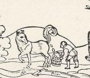 Medieval Peasants Designed Their Own Perfect Utopia, And It Was Still ...