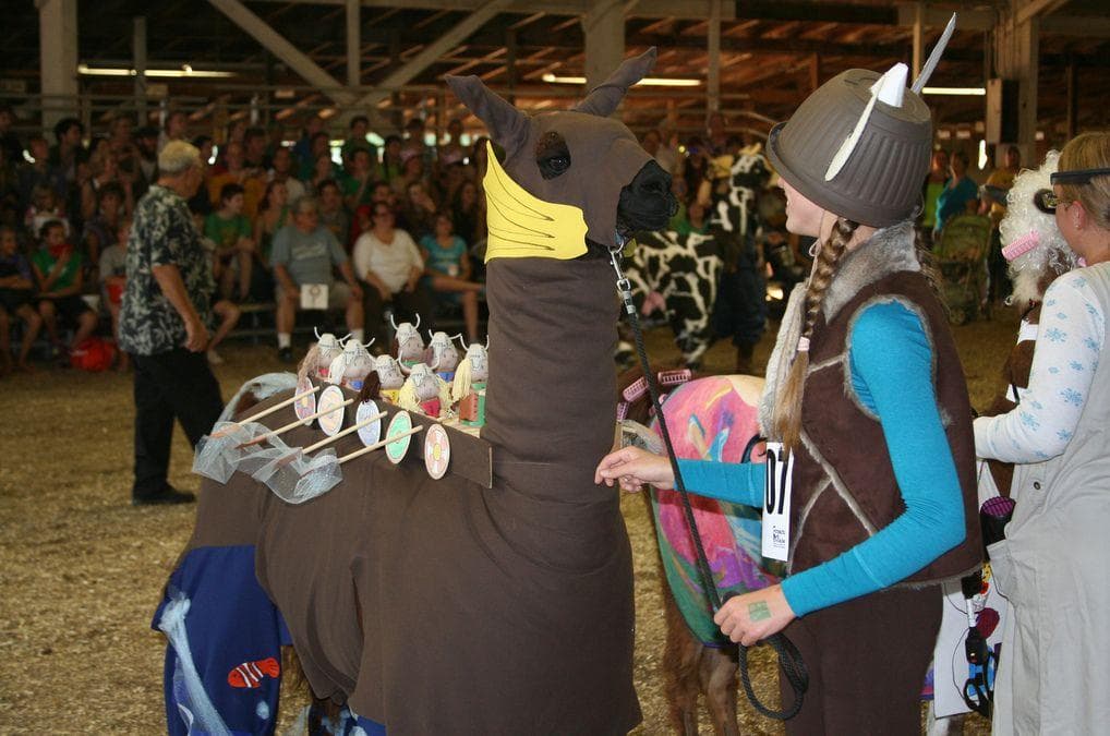 Weird And Wonderful County Fair Traditions And Games That Will Make You ...