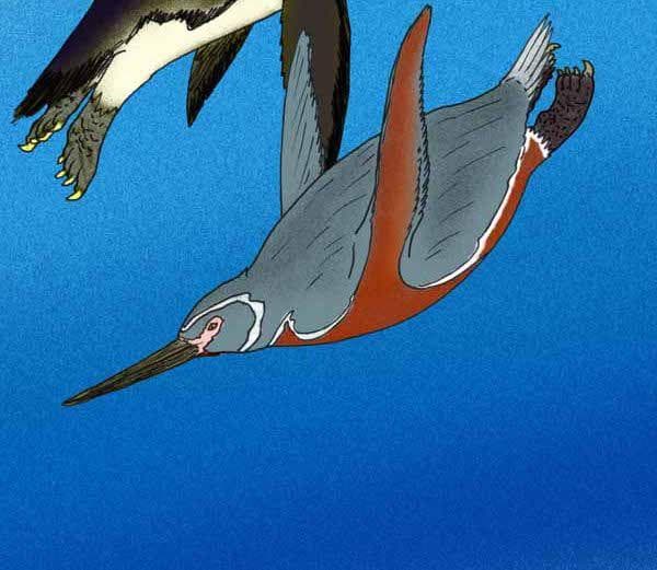 The 21 Most Bizarre Fossils Ever Discovered