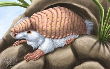 The Pink Fairy Armadillo Is Equal Parts Adorable And Kinda Scary