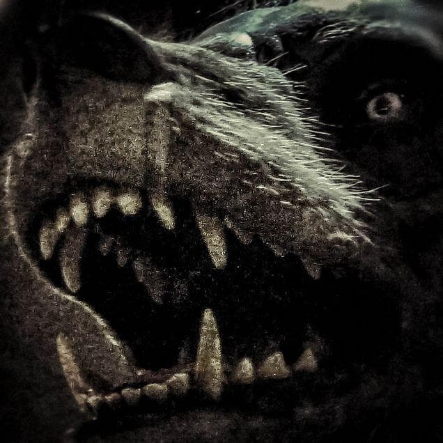 The Werewolf Trials In Europe Spanned Three Centuries And Were ...