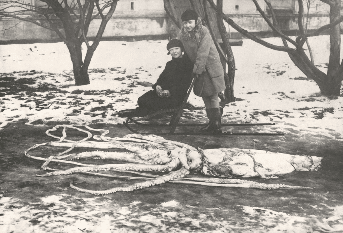 14 Horrifying Examples Of Abyssal Gigantism (Photos)