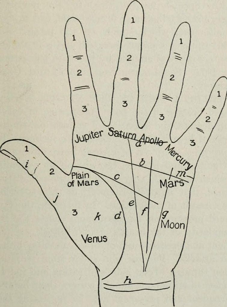 Here's What A Professional Palm Reader Predicted From Hitler's Hand Print