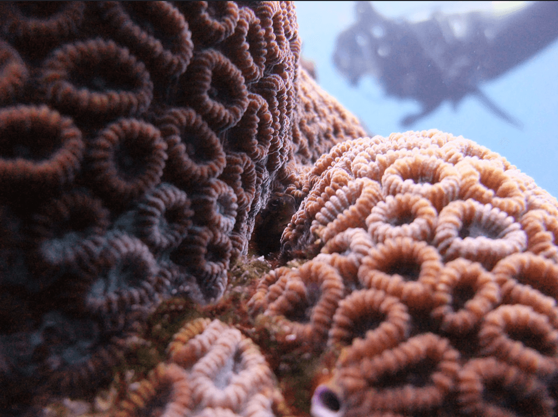 Trypophobia Is The Weirdest Fear You Might Actually Have