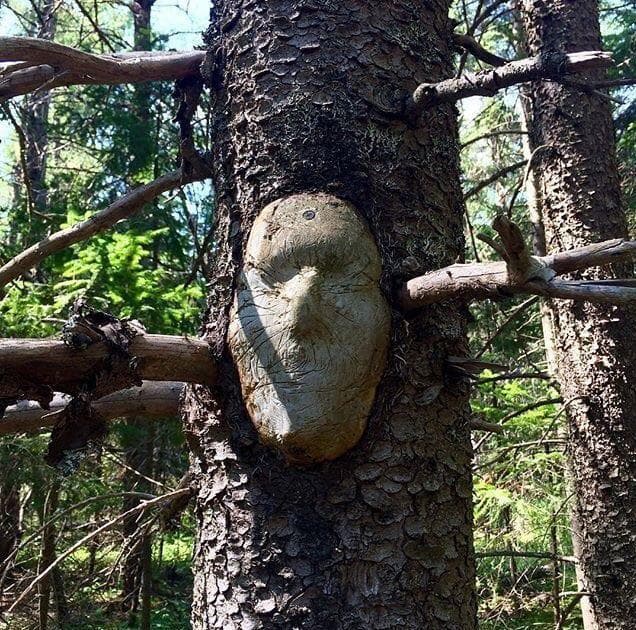 Creepy And Sinister Trees That Look Like They Grew Out Of The Pits Of Hell