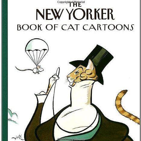 The 20+ Best Coffee Table Books for Cat Lovers