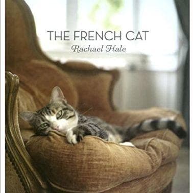 The 20+ Best Coffee Table Books for Cat Lovers