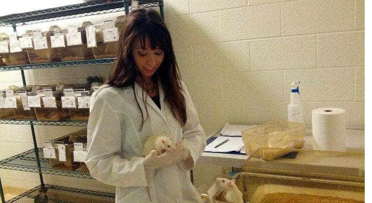 This Canadian Professor Gave Rats Morphine To Study Addiction