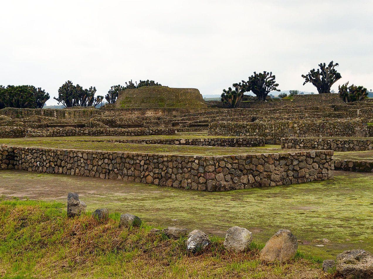 Researchers Discovered A Site Where Ancient Mexican Tribes Kidnapped ...