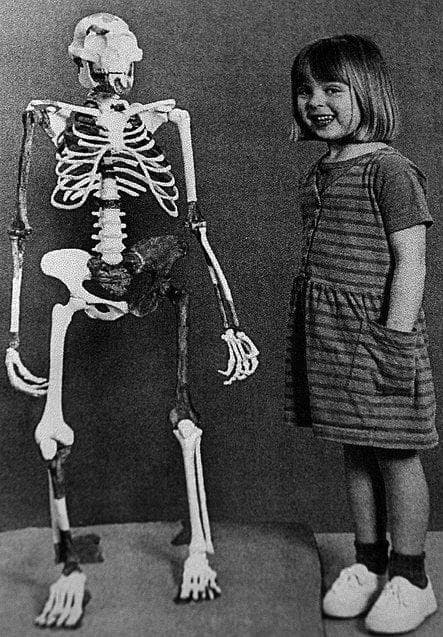 The Story Of Lucy - A Humanoid Skeleton That Is 3.2 Million Years Old