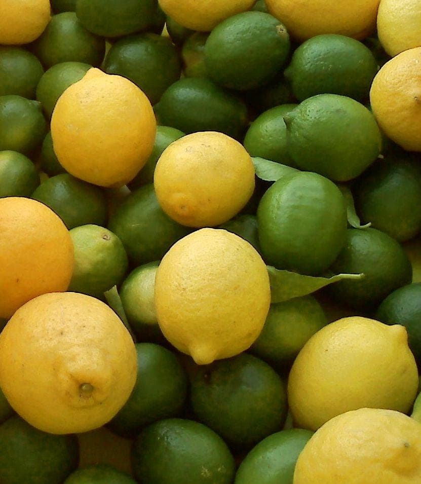 How Lemons Gave Rise To One Of The Largest Criminal Organizations