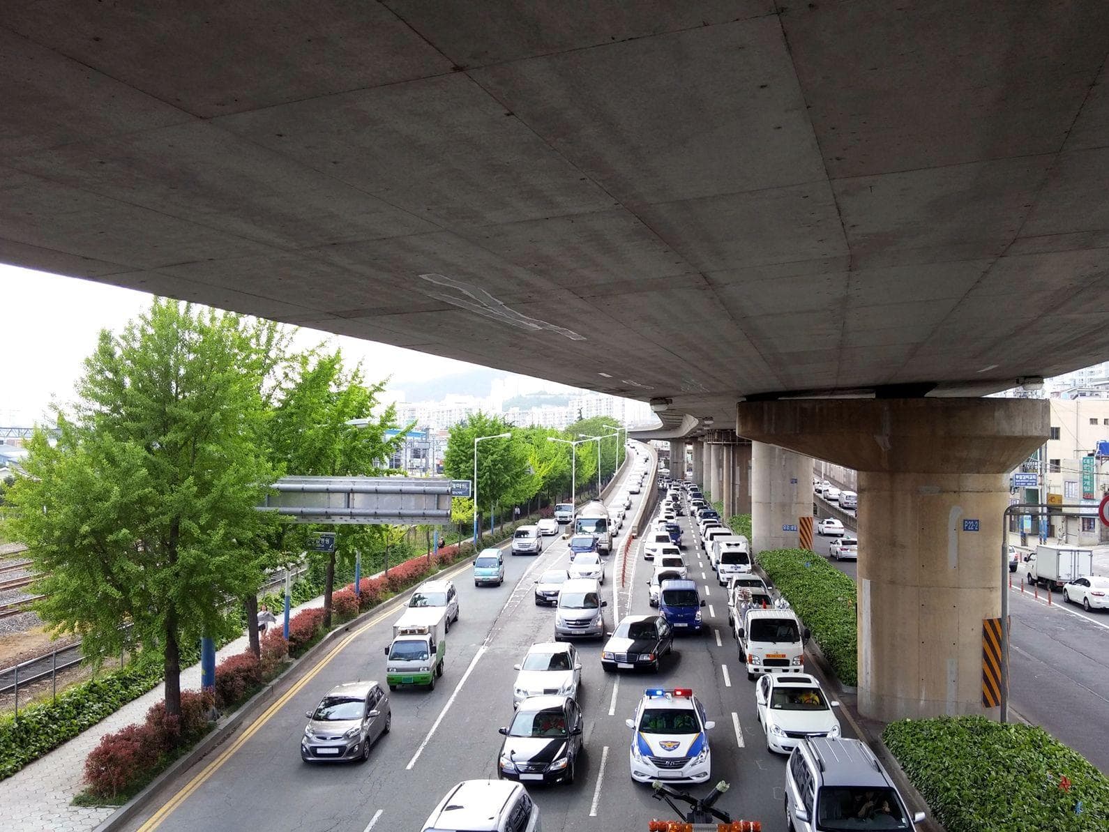 We All Hate Them, But How Do Traffic Jams Actually Work?