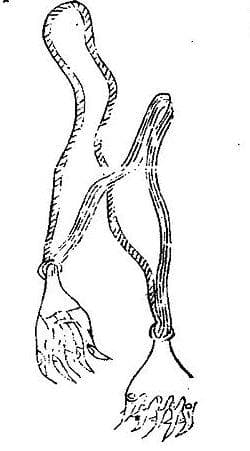 11 Incredibly Weird (Yet Deadly) Weapons From History