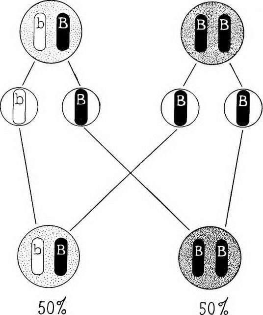 Tree Man Disease Is A Rare And Incurable Condition