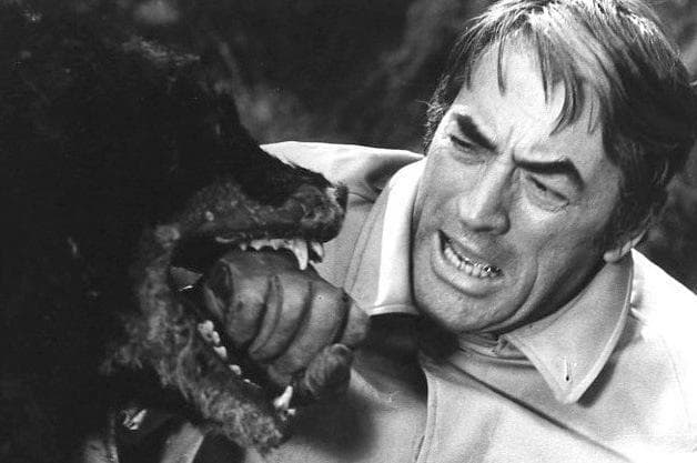 The Omen Is One of the Most Haunted Film Productions in History