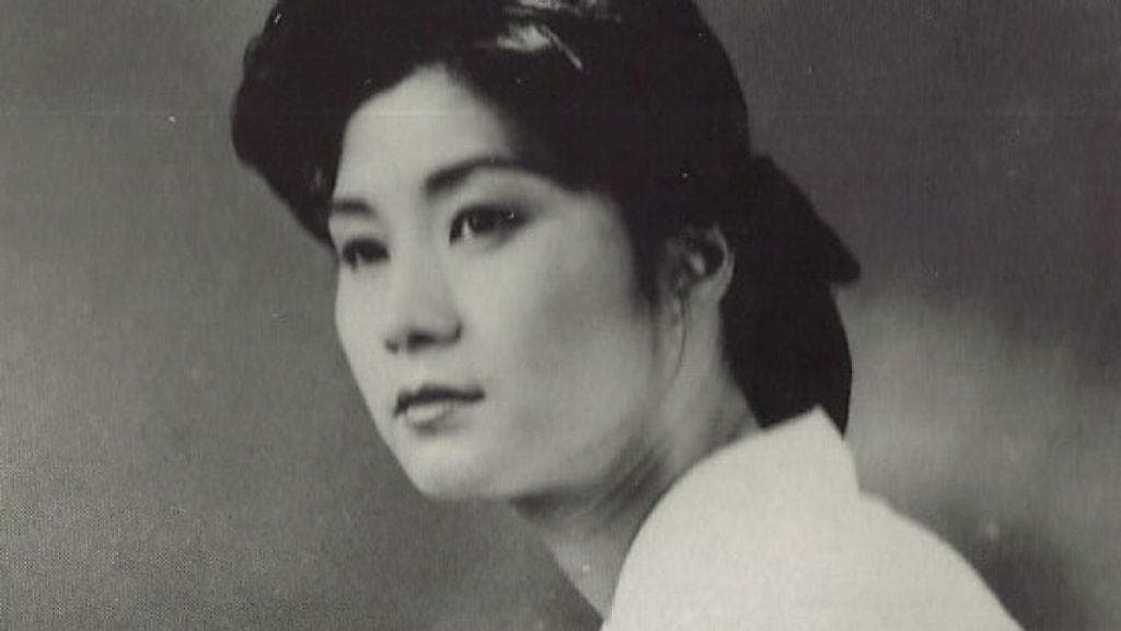 This North Korean Spy Killed 115 People In An Attempt To Derail The ...