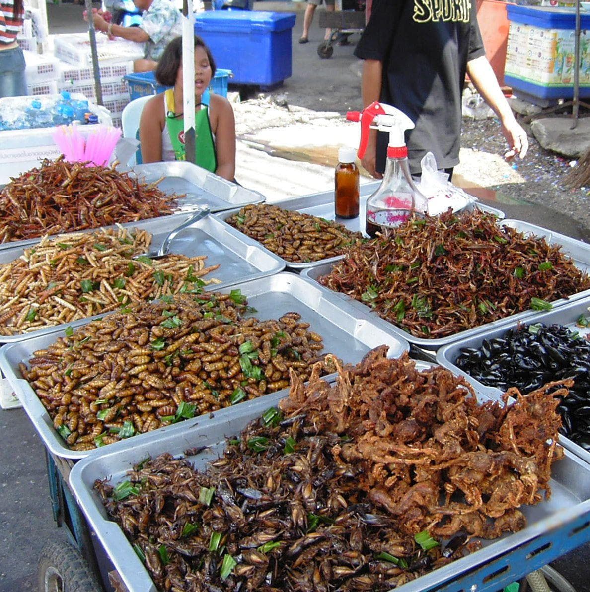 13 Weird Insect Facts That Will Creep You Out