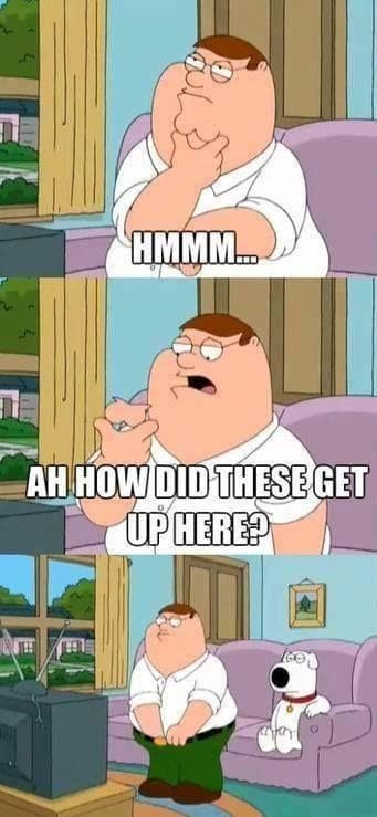 Family Guy Funny Jokes
