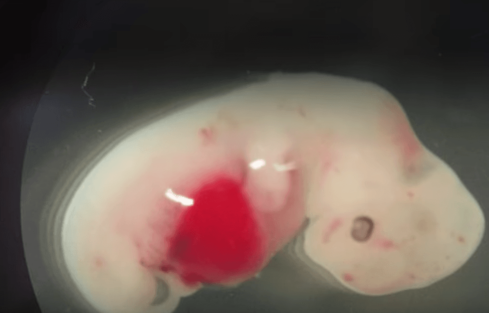 2018 Scientific Breakthroughs & Science News