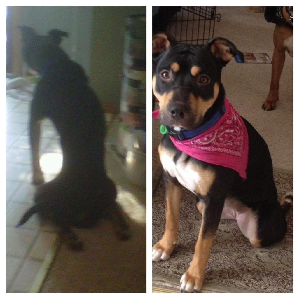 Unsettling Double-Jointed Abilities That Will Tie Your Stomach In Knots