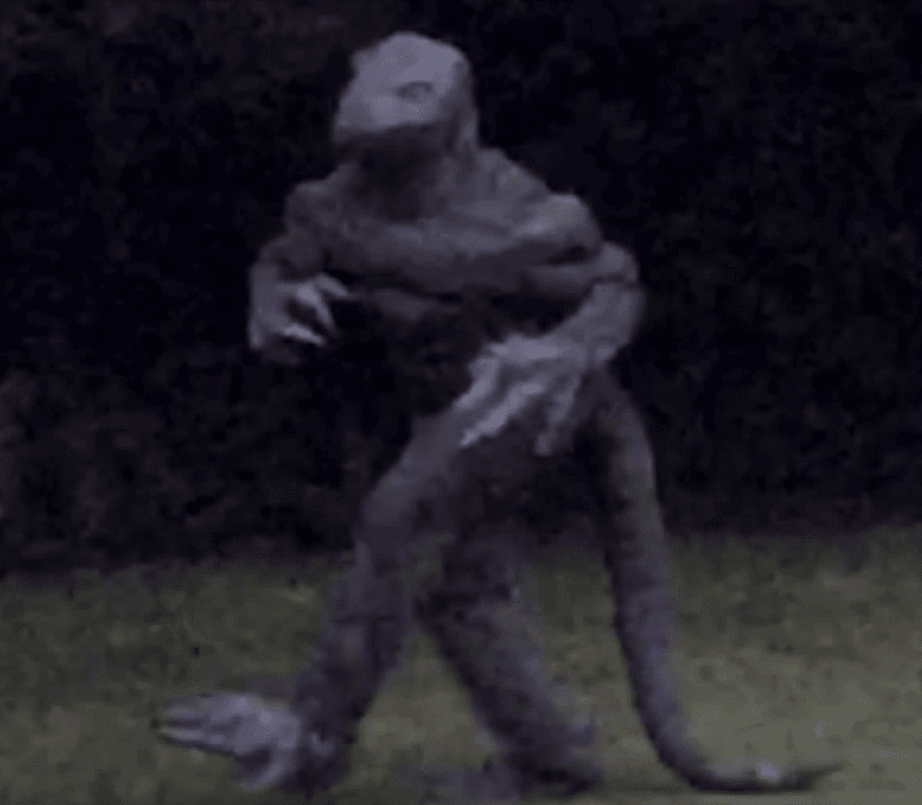 The Lizard Man Is Elusive, But His Claw Marks Are Evidence That He’s ...