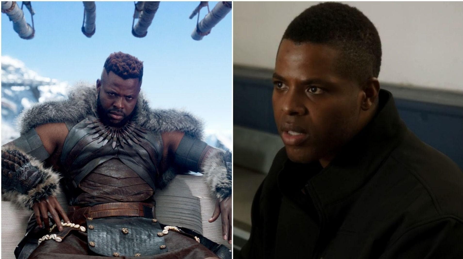 Where You've Seen All The Black Panther Actors Before