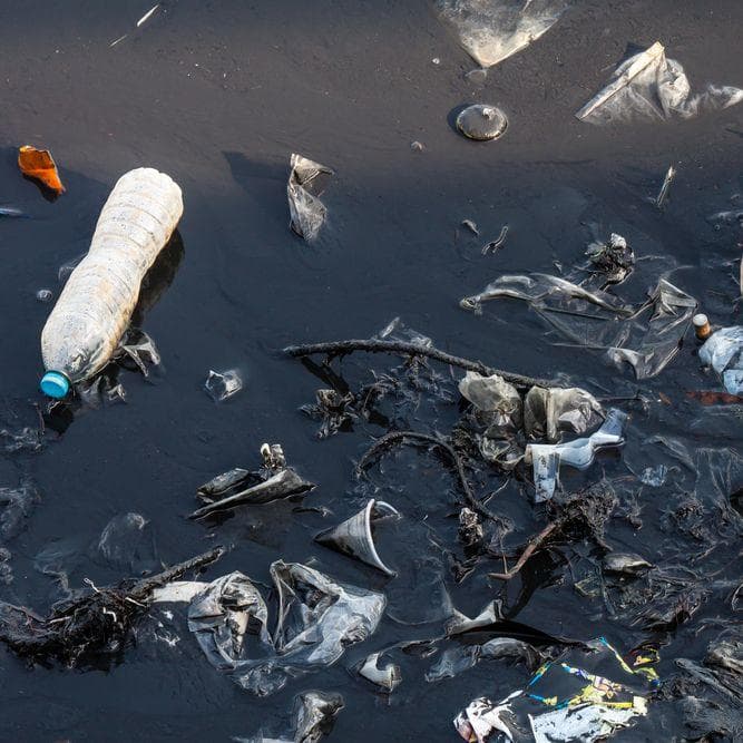 The Most Important Environmental Issues Today