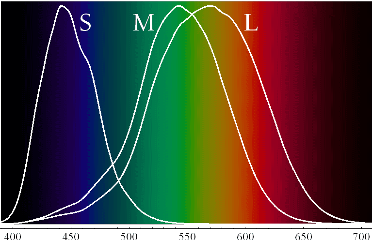 17 Extremely Rare Genetic Features That You Probably Don't Have