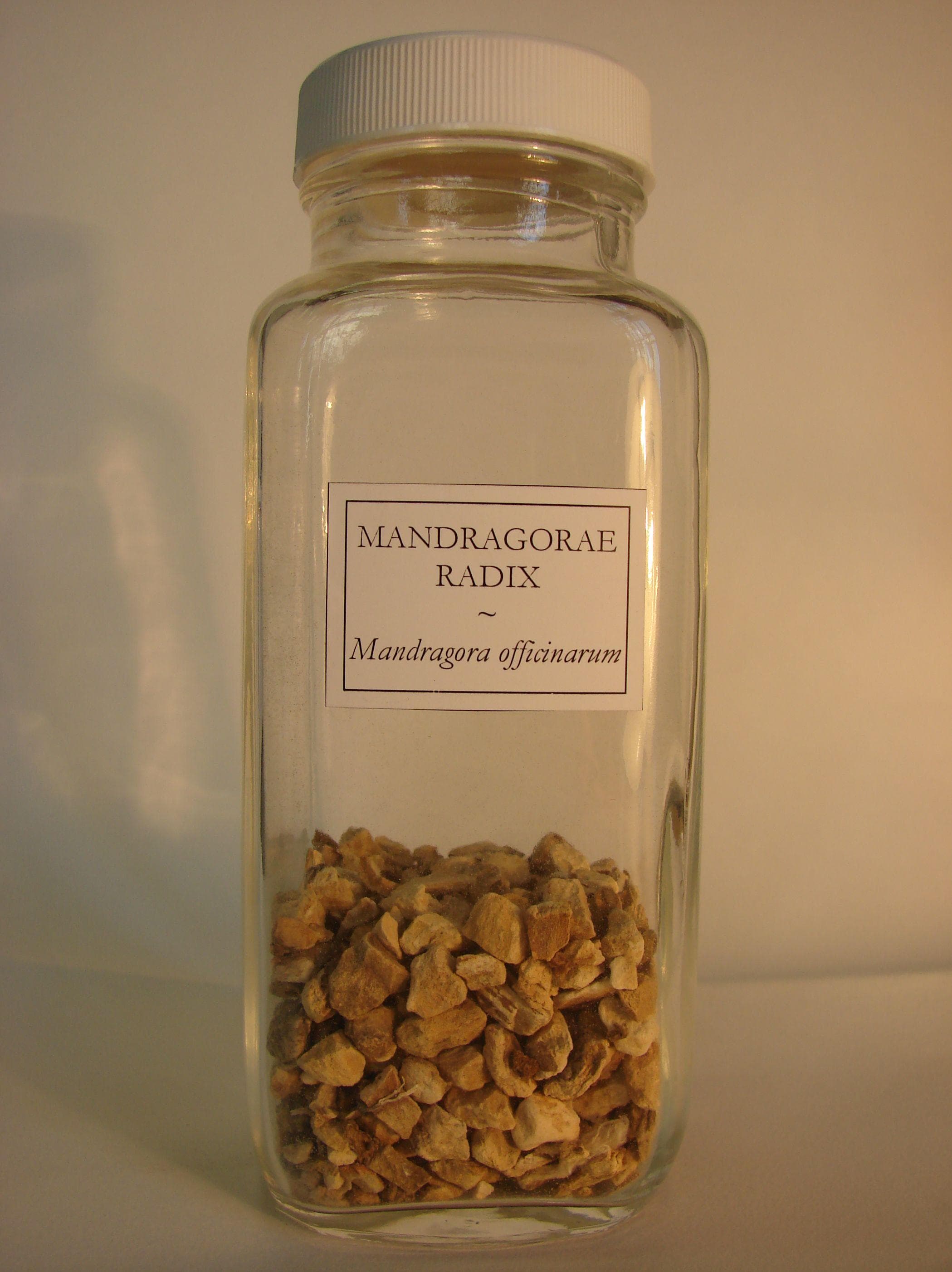 The Mandrake Root From Harry Potter Actually Exists, And Was Allegedly ...