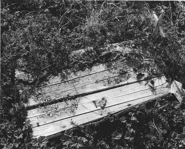 Why 13th-Century Bulgarians Were Given "Vampire Burials"