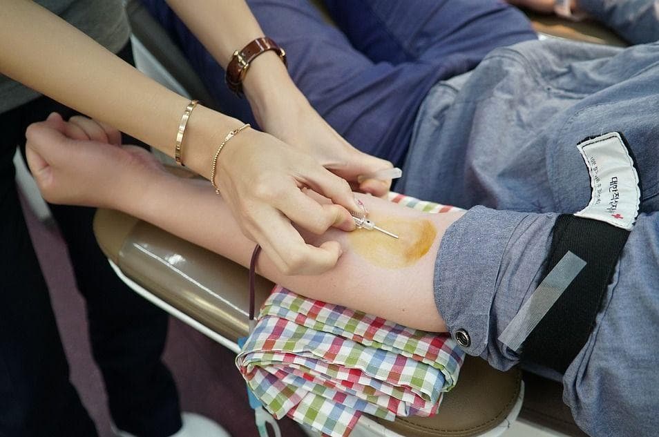 Human Chimeras Are Absolutely Real, But Not Quite In The Manner You'd ...