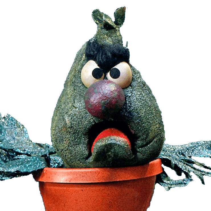 65+ Sesame Street Characters With Names