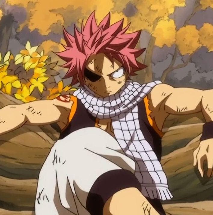 The 15+ Best Natsu Dragneel Quotes of All Time (With Images)