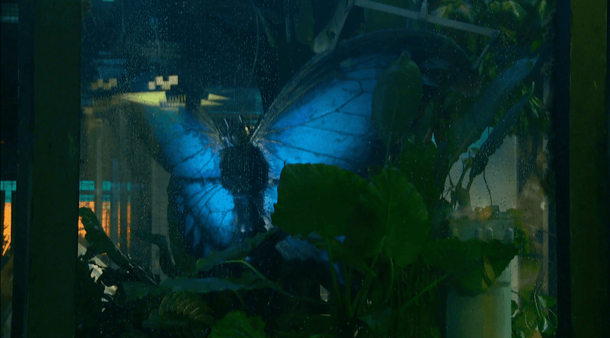 Guardians Of The Galaxy: All The Things In The Collector's Collection ...