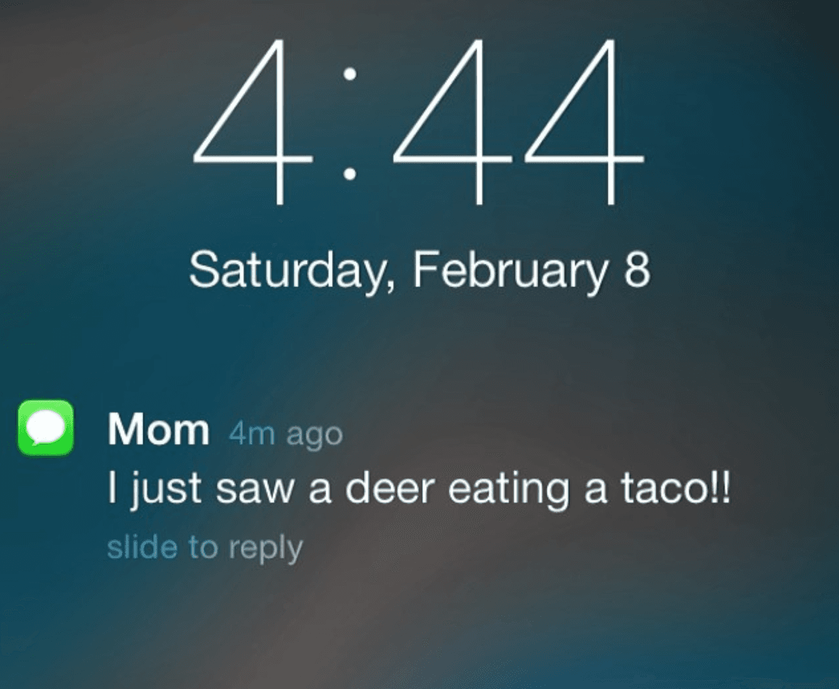 The Dumbest Text Messages In The History Of Dumb Text Messages