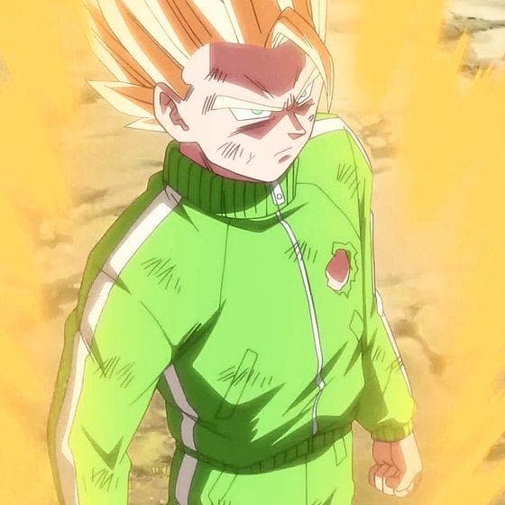 The Best Gohan Quotes of All Time (With Images)