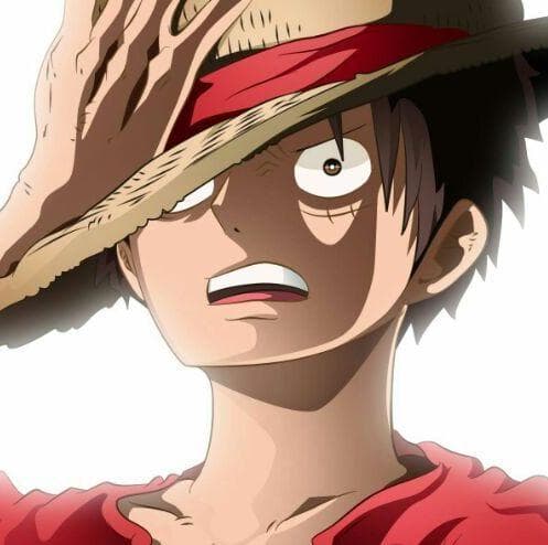 The Best Monkey D. Luffy Quotes of All Time (With Images)