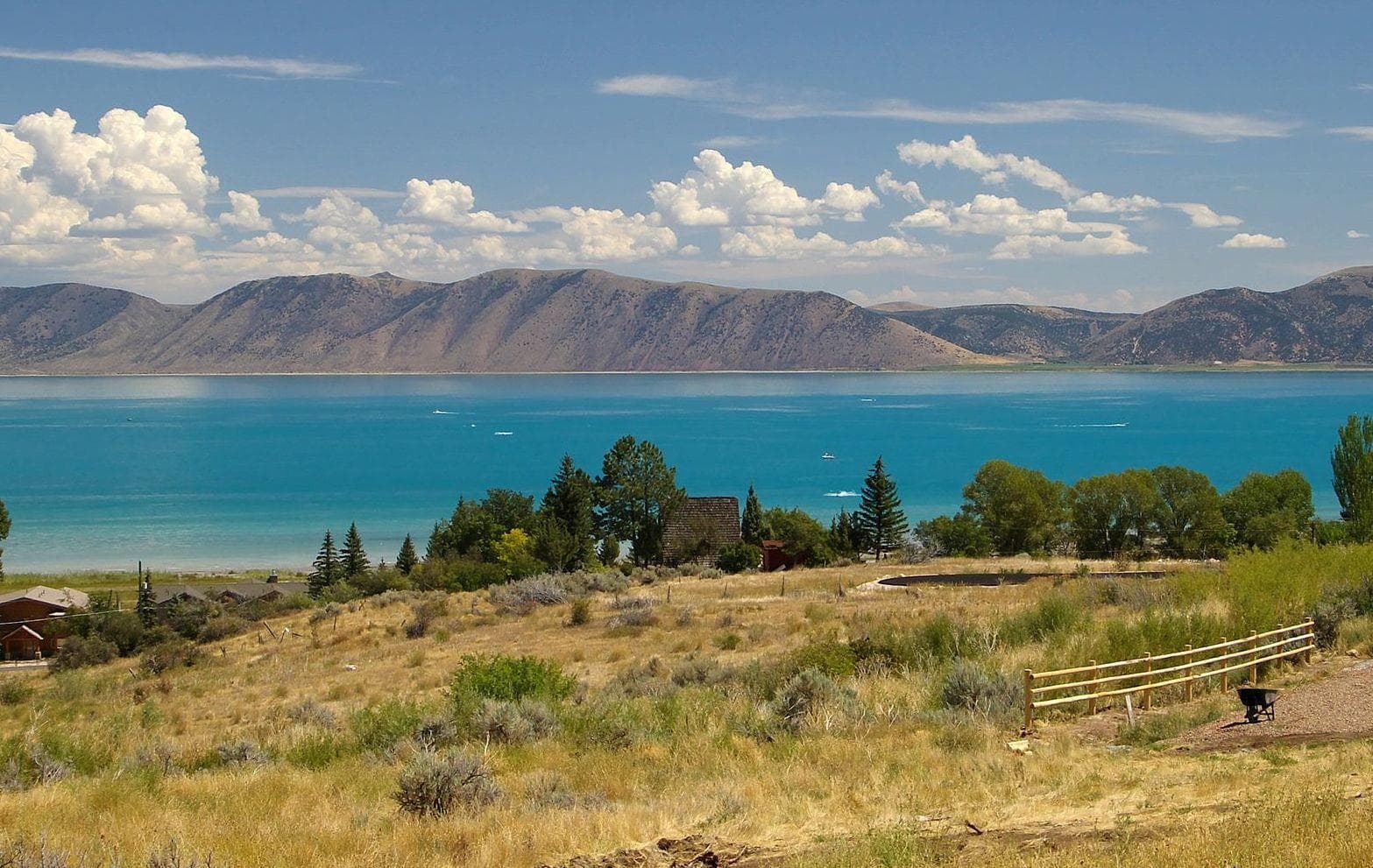 United States Lake Monsters That Will Make You Reconsider Your Summer ...