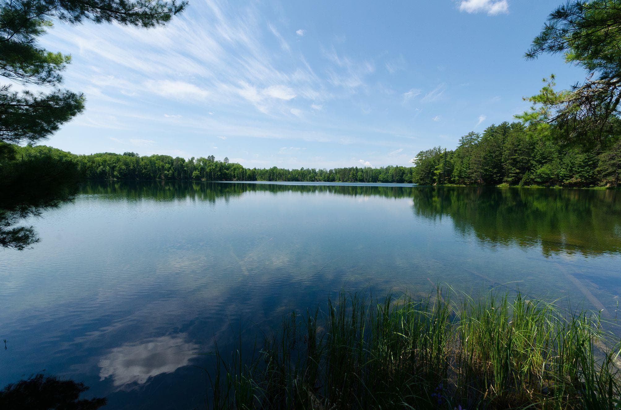 United States Lake Monsters That Will Make You Reconsider Your Summer ...