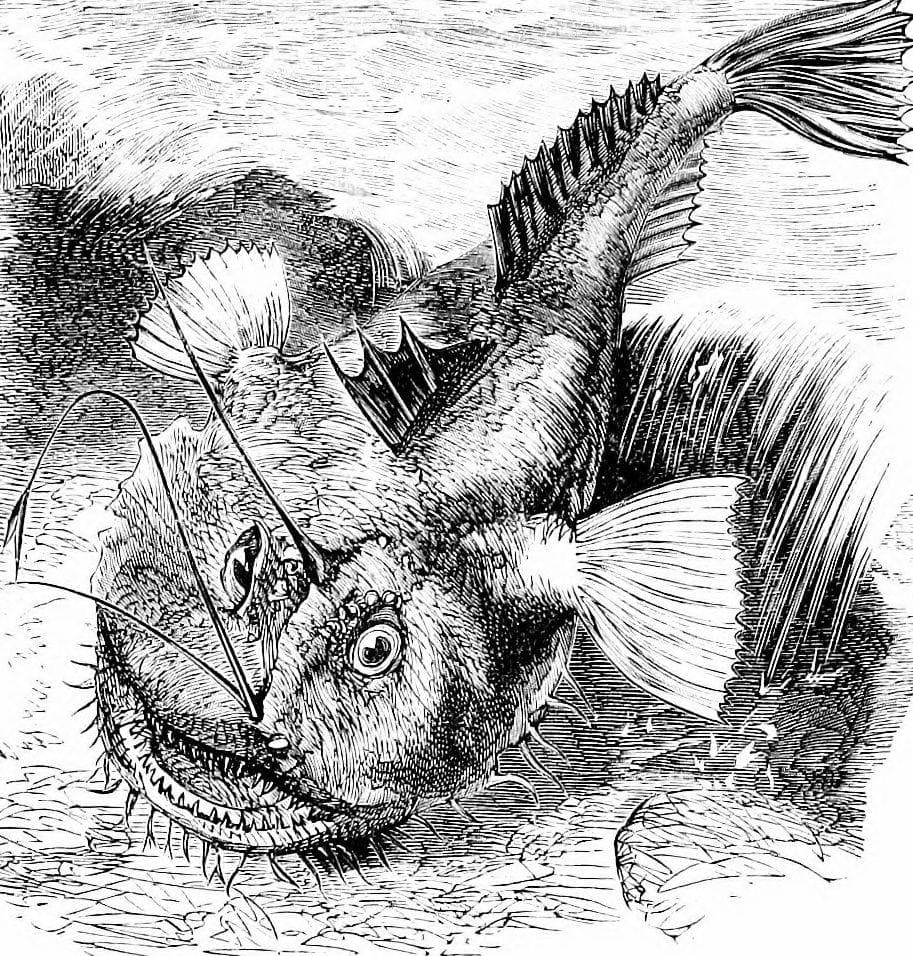 United States Lake Monsters That Will Make You Reconsider Your Summer ...