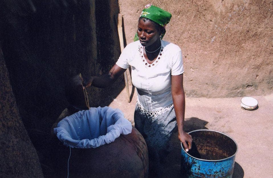 The Unending Life Cycle Of The Guinea Worm Inside The Human Body