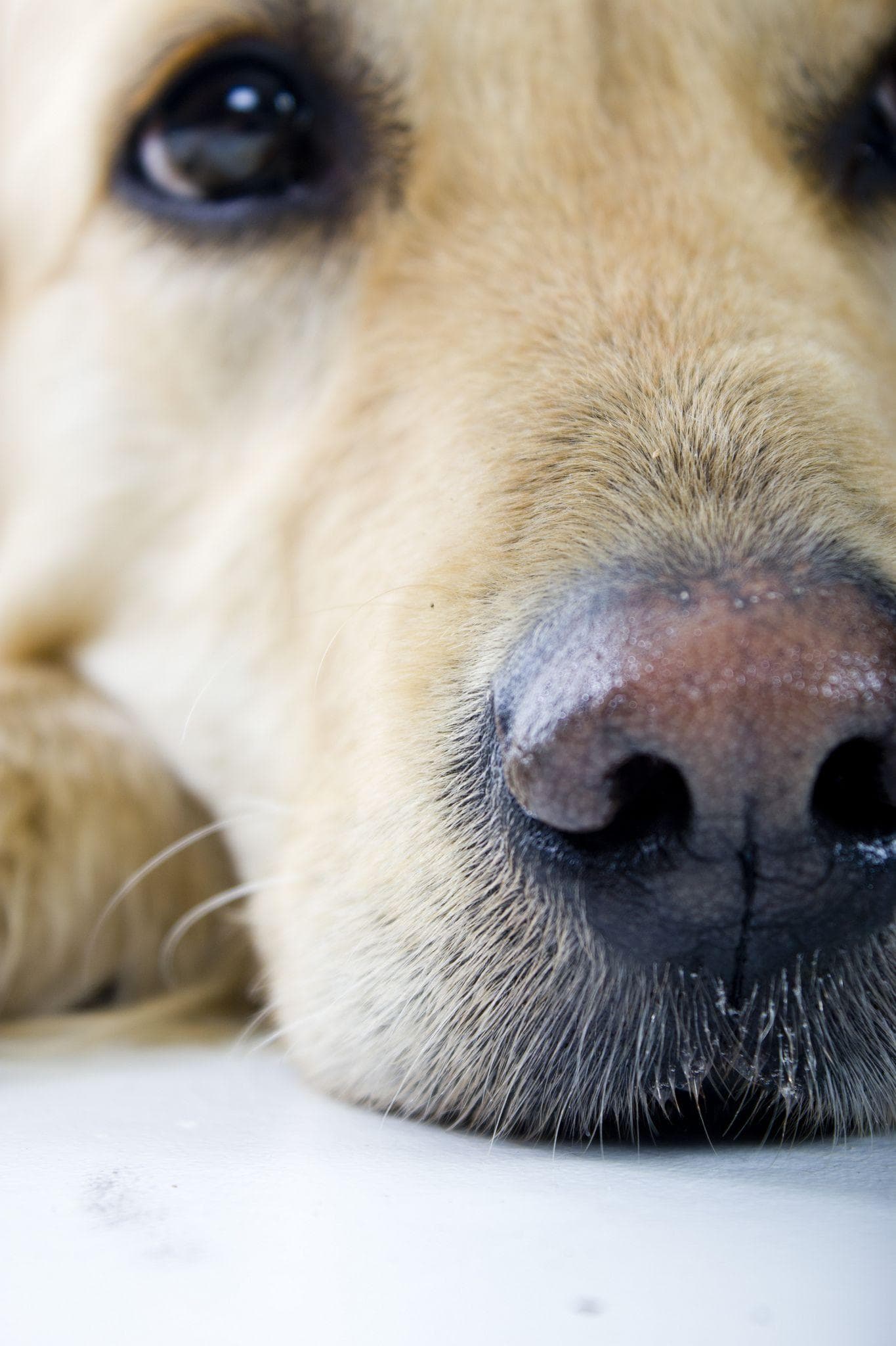 14 Signs That A Ghost Lives With You