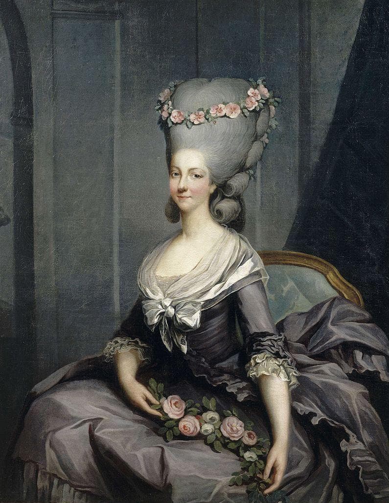 Why Did Men Wear Wigs In The 1700s? The STD They Were Covering Up